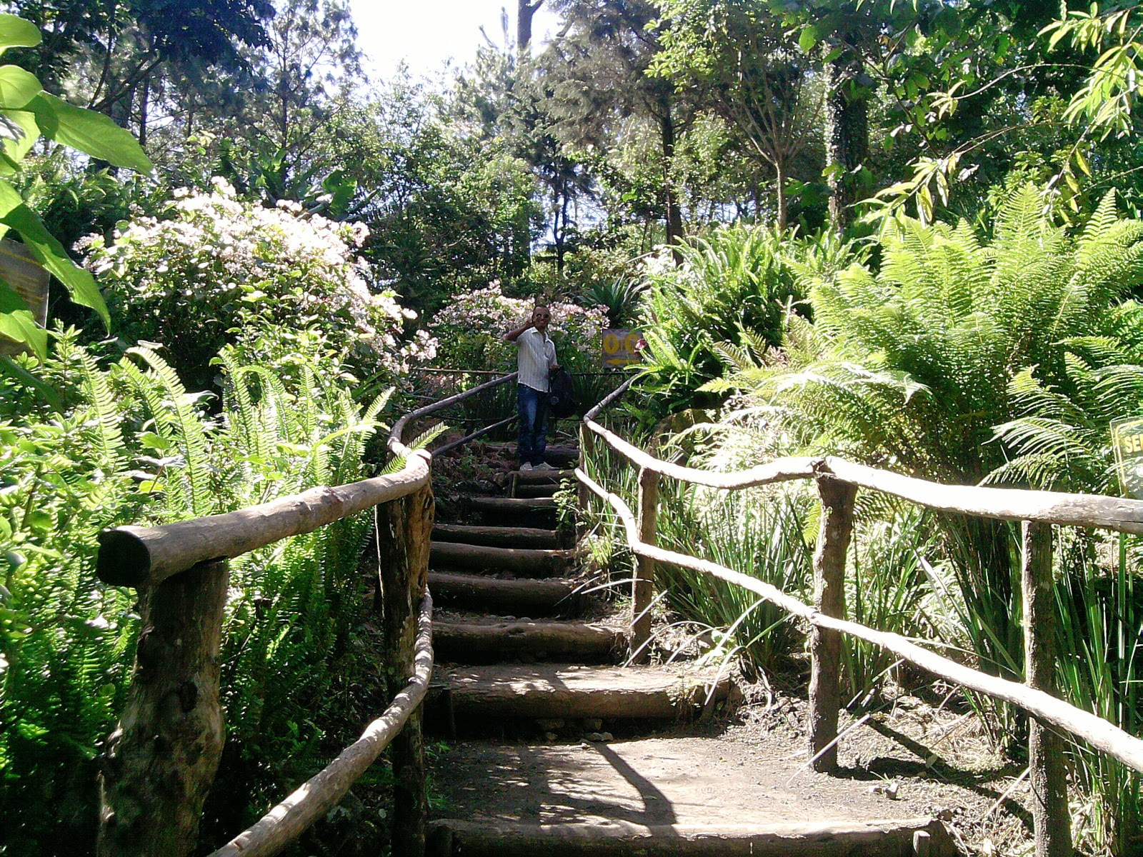 Parque Nacional El Boqueron ~ Paisajes El Salvador
